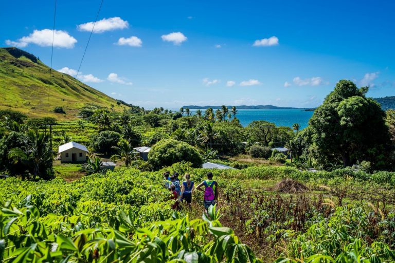 Think Pacific | Award-Winning Volunteering & Internships