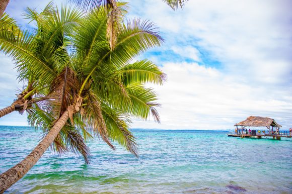 Think Pacific | Award Winning Volunteering to the Fiji Islands